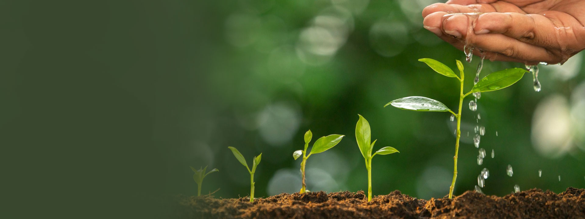 Home - JP Life Care - Wish you a very successful journey with us.